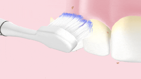 GUM® SONIC DAILY Battery Toothbrush