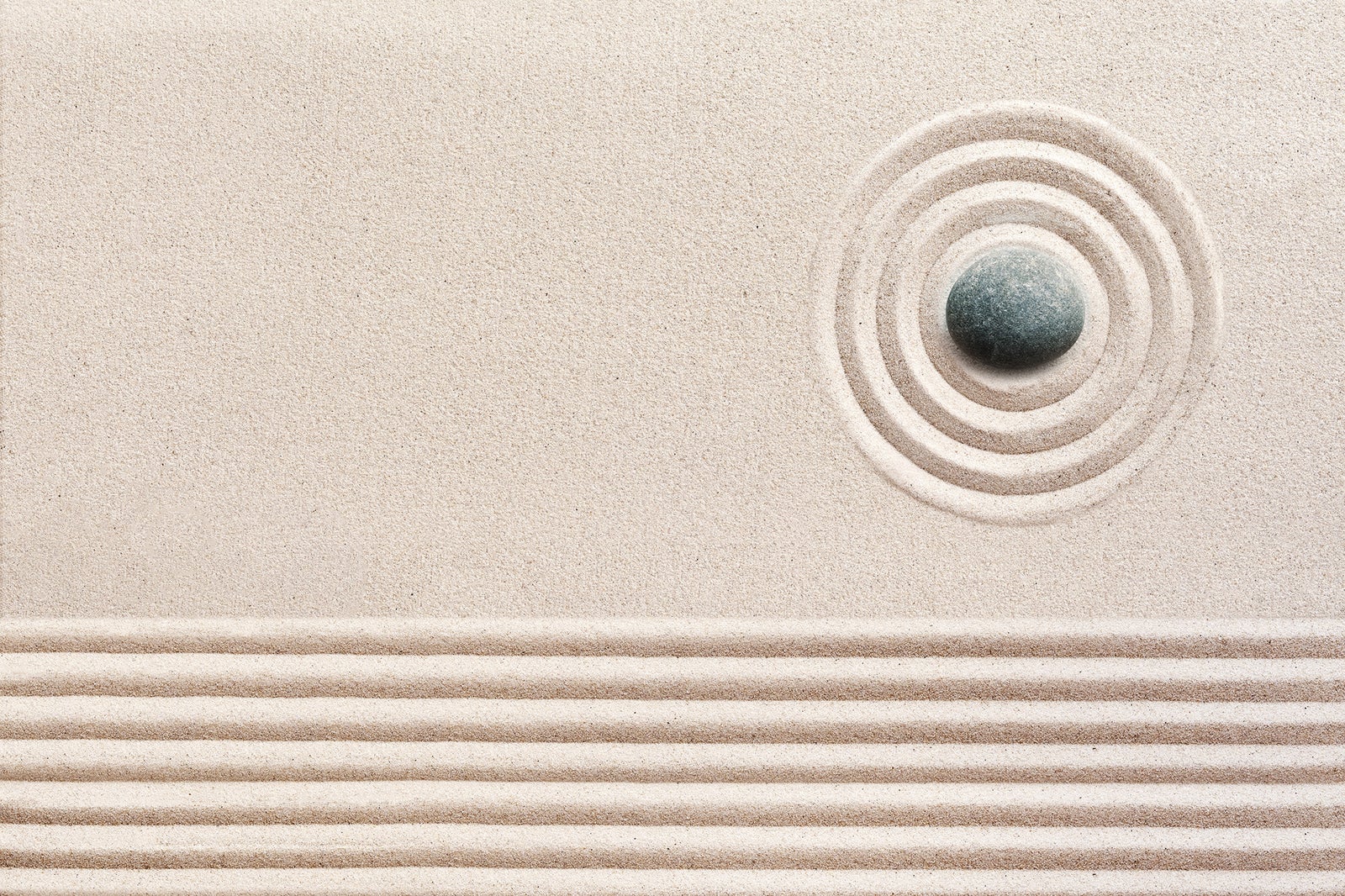 About us | SUNSTAR GUM®