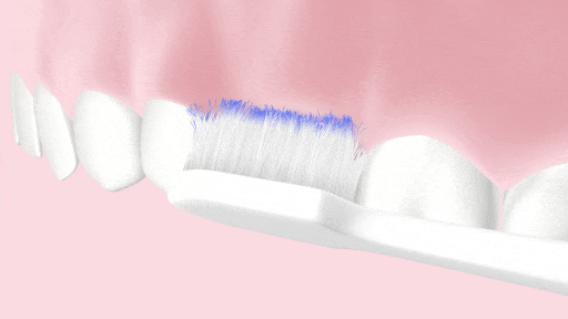 GUM® SONIC DAILY Battery Toothbrush